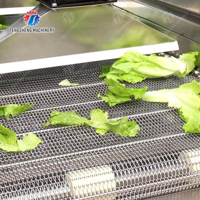 Cina Linea di trasformazione vibrazione della frutta 4.5KW e di verdura che vuota attrezzatura in vendita