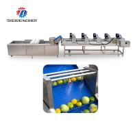 China Customization Ozone Sterilization Fruit And Vegetable Processing Line Dry Detoxification for sale