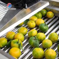 China Customization Ozone Sterilization Fruit And Vegetable Processing Line Dry Detoxification for sale