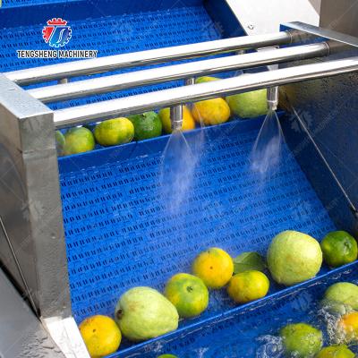 China El pesticida conducido modificado para requisitos particulares excluye la línea de transformación vegetal, centrifugando la línea de transformación del tomate en venta