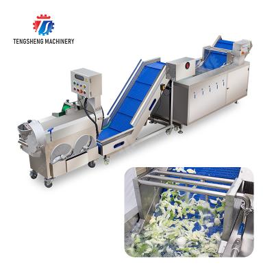 China Fruit and vegetable cutting, hoisting and washing production line Fruit Vegetable FOOD processing production Machine for sale
