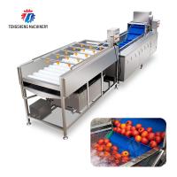 China Multifunction Fruit And Vegetable Processing Line Parallel Brush Machine for sale