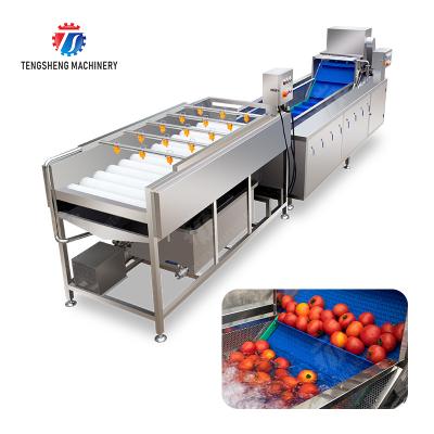 China Vegetable and fruit brush and washing production line Fruit Vegetable FOOD processing production Machine for sale