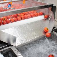 China Multifunction Fruit And Vegetable Processing Line Parallel Brush Machine for sale