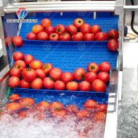 China Multifunction Fruit And Vegetable Processing Line Parallel Brush Machine for sale