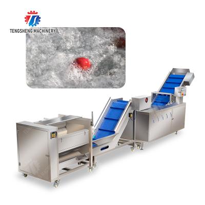 China Roller brush bubble washing production line Fruit Vegetable FOOD processing production Machine for sale