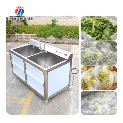 China Fruit Orange Leaves Vegetables sward beans  Herbs Fruiting vegetables Wash Washer Washing Cleaning processing production Double cylinder fruit and vegetable washing machine for sale