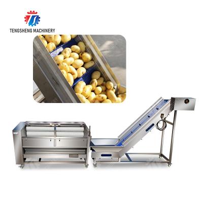 China Brush washing and hoisting production line Ginger Potato Carrot Taro Sweet potato Yam processing production Machine for sale