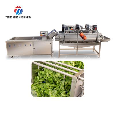 China Bubble washing vibration air drying production line Orange Vegetable Herbs Fruit processing production Machine for sale