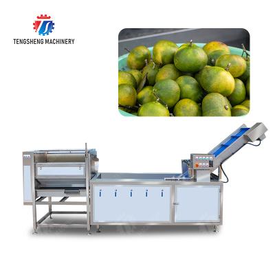 China Citrus cleaning production line Fruit Orange Wash Washer Washing Cleaning Dryer processing production Machine for sale