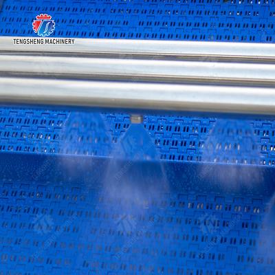 China Citrus Stalk Eliminated Lemon Processing Machinery Industrial Air Bubble Brush for sale