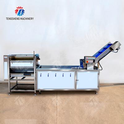 中国 柑橘類の茎は機械類の産業気泡のブラシを処理するレモンを除去した 販売のため