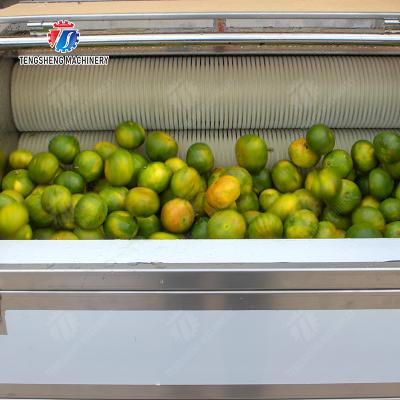 China Citrus Stalk Eliminated Lemon Processing Machinery Industrial Air Bubble Brush for sale