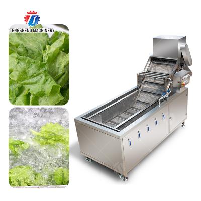 China Bubbel Groentewasmachine Fruit Sinaasappel Groente Bladeren Groenten Kruiden productie Ontstenen Wassen Wasmachine Wassen Reinigen Te koop