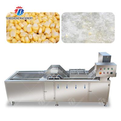China customized blanching machine Fruit Orange Vegetable Leaves Vegetables Carrots and longitudinal root vegetables Onions Leafy vegetables Cabbage varieties Herbs Fruiting vegetables Wash Washer Cleaning for sale