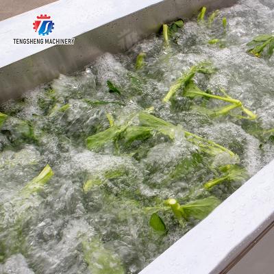 China High Efficiency Fruits And Vegetables Washer For Dandelions Coriander for sale