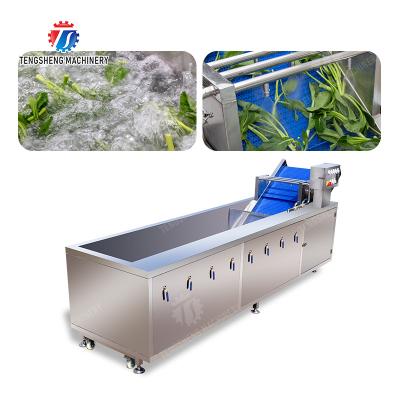 China Vegetables bubblewashing machine Leaves Vegetables Onions Leafy vegetables Cabbage varieties Herbs Fruiting vegetables Wash Washer Washing Cleaning processing production for sale