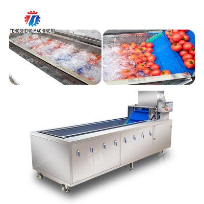China Leaves Leafy vegetables Cabbage varieties Herbs Fruiting vegetables Vegetables bubblewashing machine Wash Washer Washing Cleaning The dish washing machine for sale