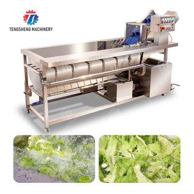 China Cleaning processing production Machine Vortex vegetable washing machine red beans  mung beans  green peas beans canning Potato  Potatoes and round tuber crops Carrots and longitudinal root vegeta for sale