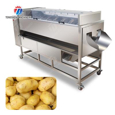 China Fruit Orange Vegetable Leaves Vegetables sward beans  soybeans  green beans  chickpeas beans  red beans  mung beans  green peas beans canning Potato Screw shaft brush machine for sale