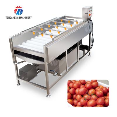 China Aardappelen en ronde knollen Wortelen en langwerpige wortelgroenten uien Gember Wortel Taro Zoete aardappel Yam Aardappel Saiko persimmon Parallel Brush Machine Wasmachine Wasmachine Wassen Reiniging Te koop