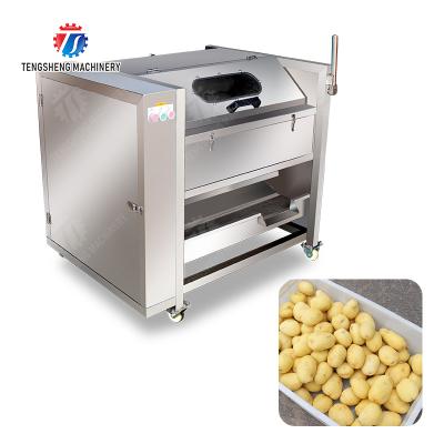 China Wash Washer Washing Cleaning processing production Destoning Supplying soybeans  Potato Carrot Taro Sweet potato Yam Saiko persimmon Sealed cover brush peeling machine for sale