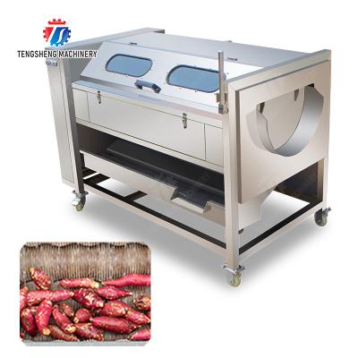 China Sealed cover brush peeling machine soybeans  Potato Carrot Taro Sweet potato Yam Saiko persimmon Wash Washer Washing Cleaning Dryer Frozen  processing production Destoning for sale
