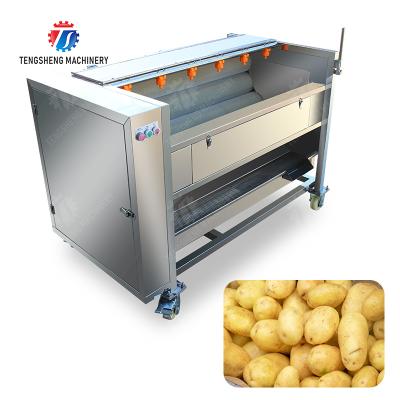 China Fruit Groenten Aardappelen en ronde knollen Wortelen en langwerpige wortelgroenten Gember Aardappel Wortel Taro Zoete aardappel Yam Saiko persimmon Rolborstel was- en schilmachine met spray Te koop