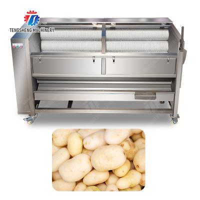 China Aardappelen en ronde knolgewassen Gember Aardappel Wortel Taro Zoete aardappel Yam Saiko persimmon Papaja Hoefijzernoot Macadamianoot Borstel Wassen en Schillen Te koop