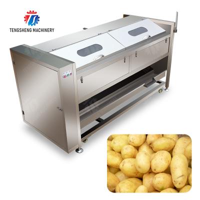 China Wasmachine Wasmachine Wassen Reiniging Verwerking Productie Verwijderen Verzegeld Deksel Type Schilfering Gember Aardappel Wortel Taro Zoete aardappel Yam Saiko persimmon papaja hoefijzer macadamia noten Te koop