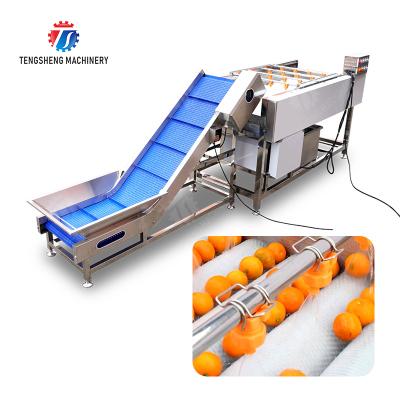 중국 오렌지 감자 양파 생강 감자 당근 토란 고구마 마 사과 감 사과 배 호박 단순 멜론 및 과일 리프팅 및 브러시 롤러 청소 생산 라인 판매용