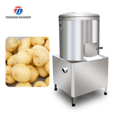 중국 감자 껍질 닦기 가공 생산 기계 진저 감자 고구마 타로 감자 감자 야마 판매용