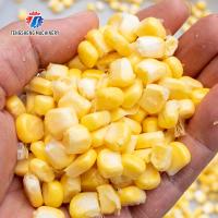 China Corn thresher processing production Supplying Machine for sale