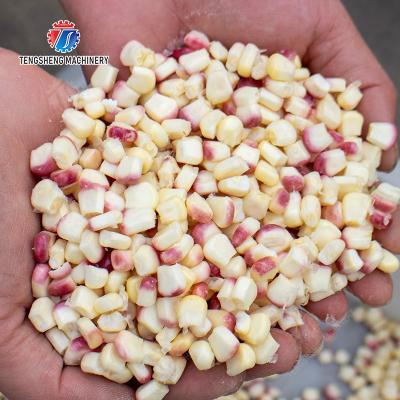 China Rüsten Sie Ihre Produktionslinie mit Silber Obst- und Gemüsebearbeitungsanlagen auf zu verkaufen