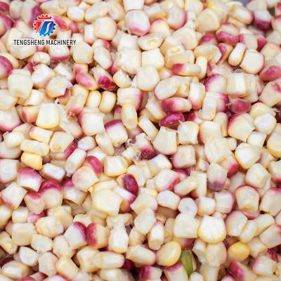 China Rüsten Sie Ihre Produktionslinie mit Silber Obst- und Gemüsebearbeitungsanlagen auf zu verkaufen