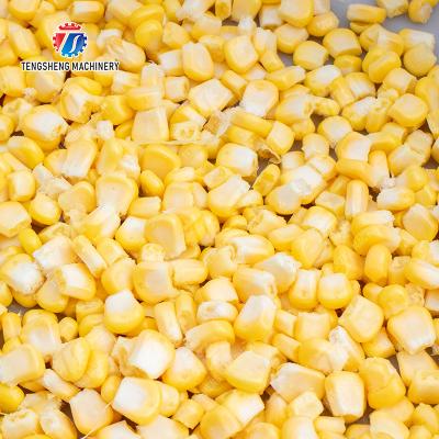 China Rüsten Sie Ihre Produktionslinie mit Silber Obst- und Gemüsebearbeitungsanlagen auf zu verkaufen