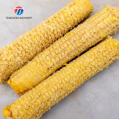 China Rüsten Sie Ihre Produktionslinie mit Silber Obst- und Gemüsebearbeitungsanlagen auf zu verkaufen