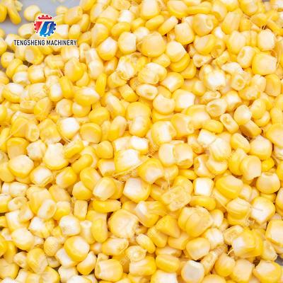 China Rüsten Sie Ihre Produktionslinie mit Silber Obst- und Gemüsebearbeitungsanlagen auf zu verkaufen