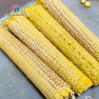 China Corn thresher processing production Supplying Machine for sale