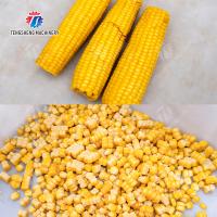 China Corn thresher processing production Supplying Machine for sale