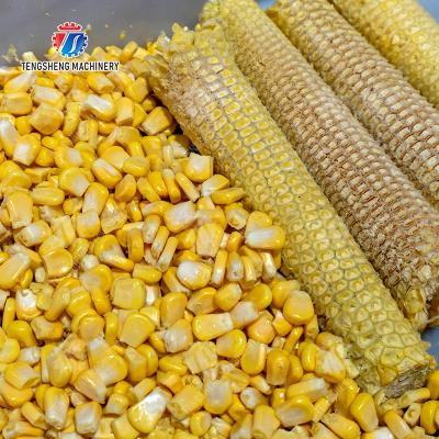 China Rüsten Sie Ihre Produktionslinie mit Silber Obst- und Gemüsebearbeitungsanlagen auf zu verkaufen