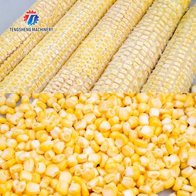 China Rüsten Sie Ihre Produktionslinie mit Silber Obst- und Gemüsebearbeitungsanlagen auf zu verkaufen