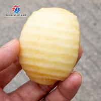 China Apple peeling and remove core machine processing production Supplying Decoring Machine for sale
