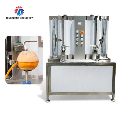 중국 멜론 및 과일 이중 헤드 단일 커터 필링 머신 파파야 치에-꽈 호박 겨울 멜론 필링 & 연마 판매용