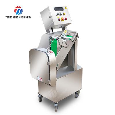 China X Endprodukt Die bevorzugte Option für die Obst- und Gemüseverarbeitungslinie im Jahr 2025 zu verkaufen