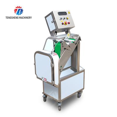 China X Endprodukt Die bevorzugte Option für die Obst- und Gemüseverarbeitungslinie im Jahr 2025 zu verkaufen