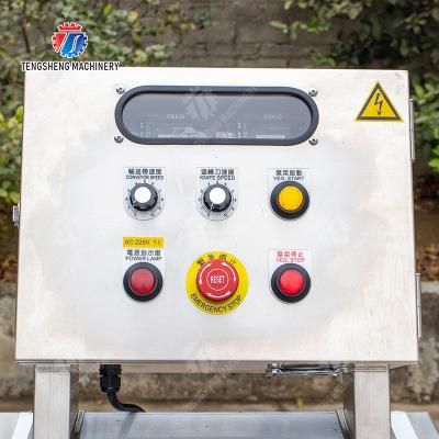 China X Endprodukt Die bevorzugte Option für die Obst- und Gemüseverarbeitungslinie im Jahr 2025 zu verkaufen