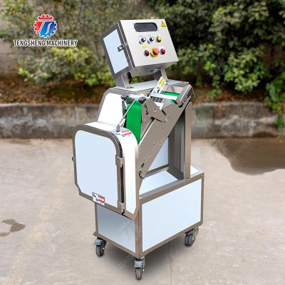 China X Endprodukt Die bevorzugte Option für die Obst- und Gemüseverarbeitungslinie im Jahr 2025 zu verkaufen