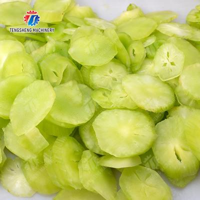 China X Endprodukt Die bevorzugte Option für die Obst- und Gemüseverarbeitungslinie im Jahr 2025 zu verkaufen