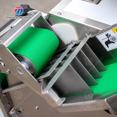 China X Endprodukt Die bevorzugte Option für die Obst- und Gemüseverarbeitungslinie im Jahr 2025 zu verkaufen